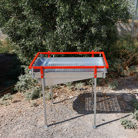 Κόσκινα Ελιάς